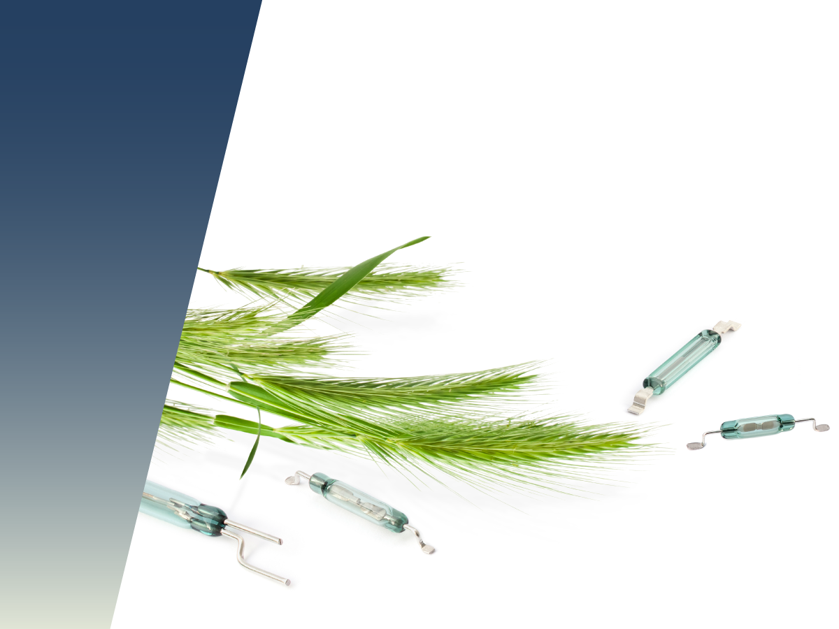 What Is a Reed Switch? Working Principle, Applications, and Benefits